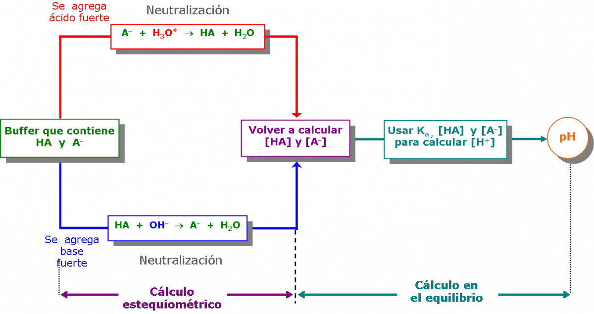 3.6.8. Soluciones Buffer o Amortiguadoras – Química general